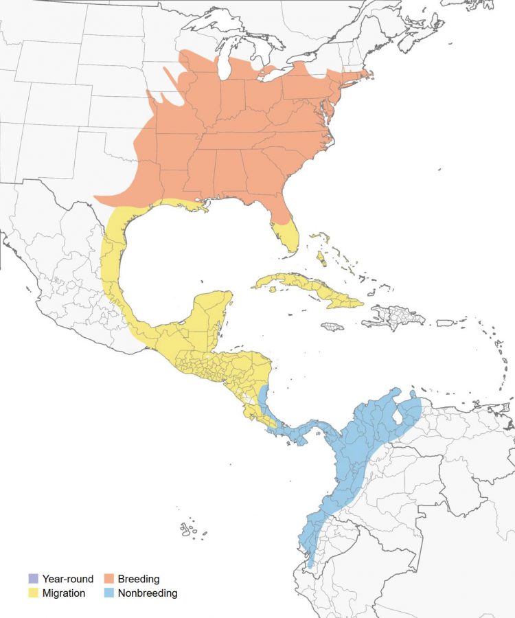 Breeding Birds of Pelee Island | The Pelee Island Bird Observatory