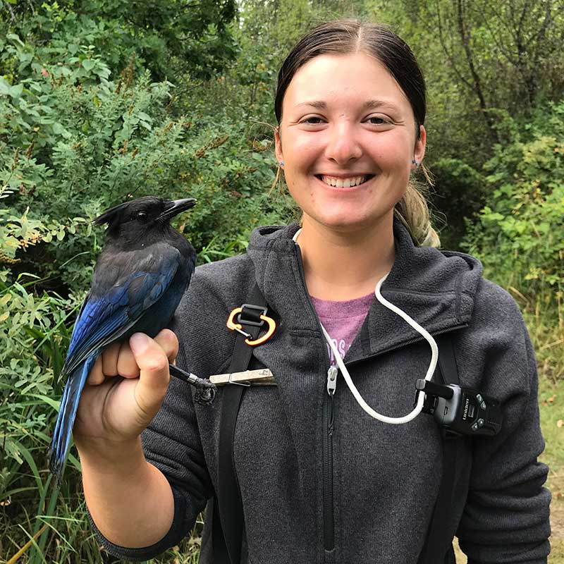 PIBO People | The Pelee Island Bird Observatory