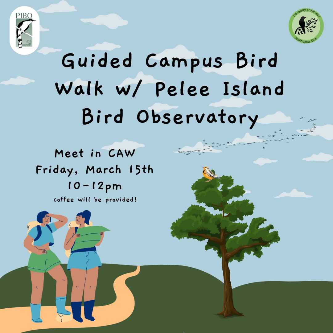 Campus Bird Walk | The Pelee Island Bird Observatory