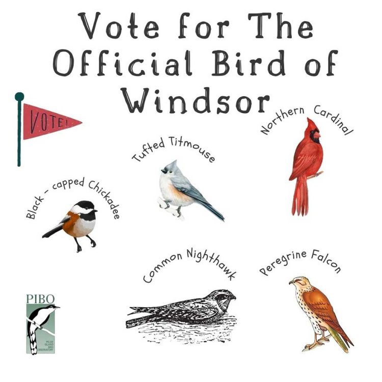 The Pelee Island Bird Observatory